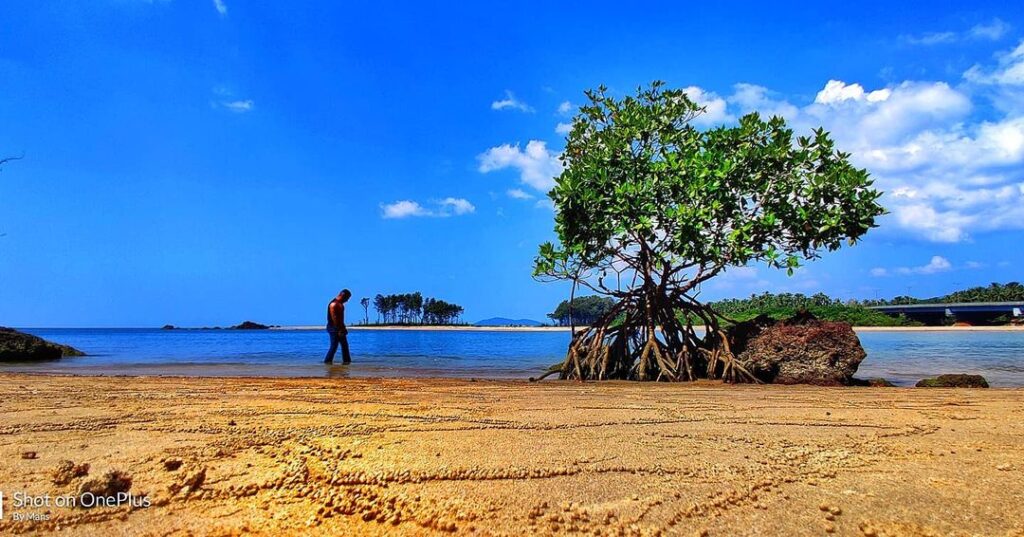 Goa: The Smallest State of India - Travel Xamp