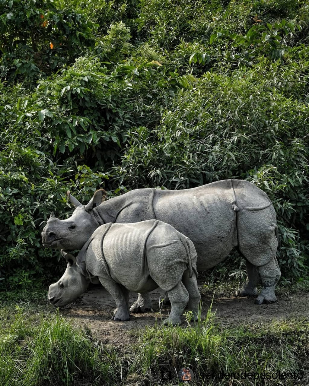 Top 5 Places to Visit in Assam - Travel Xamp