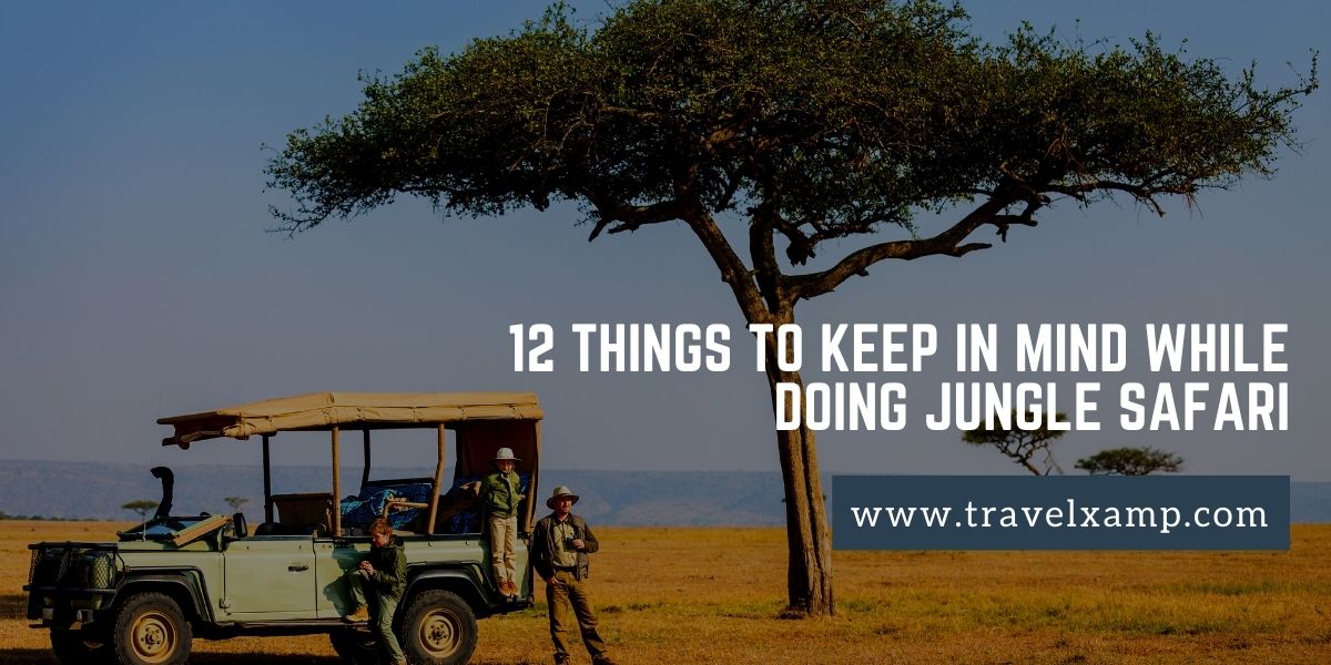 12 Things to Keep in Mind While Doing Jungle Safari - Travel Xamp