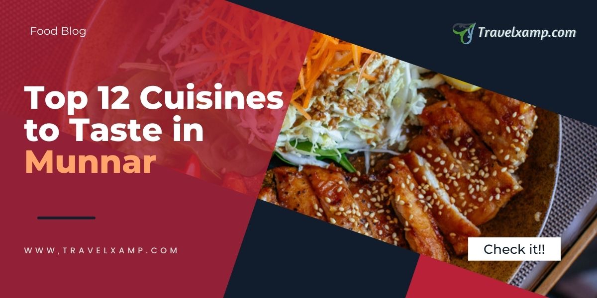 Top 12 Cuisines to Taste in Munnar - Travel Xamp